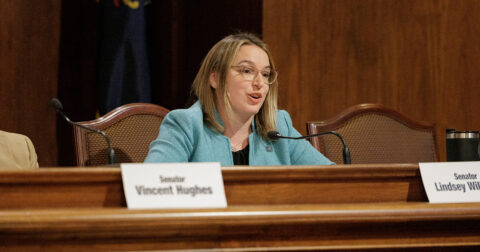 Sen. Lindsey Williams Releases Statement Following BEFC Vote Today ...